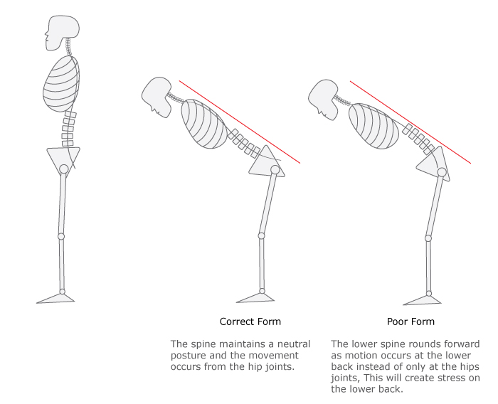 Importance of the Hip Hinge – Ojas Smart PT, DPT, CSCS for Team ...